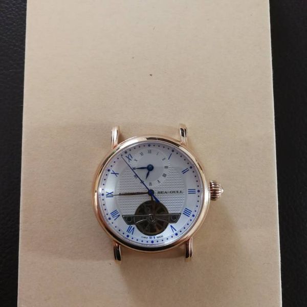 FS Seagull ref 6040 Flywheel Dual timezone Automatic Watch ...
