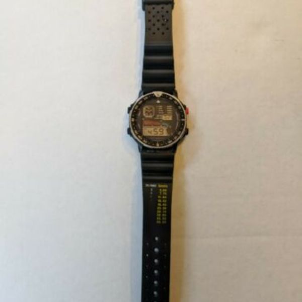 Vintage Citizen D060 Windsurfer Watch in Very Nice Condition New Band ...