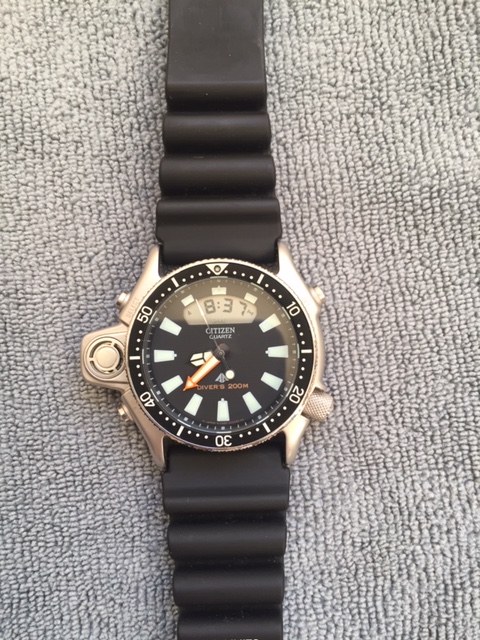 Citizen PROMASTER JP2000-08E Diver - Mint Condition | WatchCharts