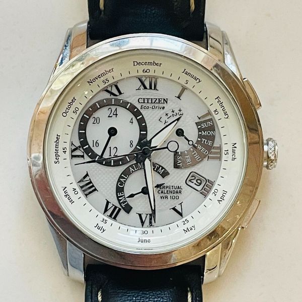 Citizen E870-S015324 HST Eco-Drive Perpetual Calendar 8700 Mens Watch ...