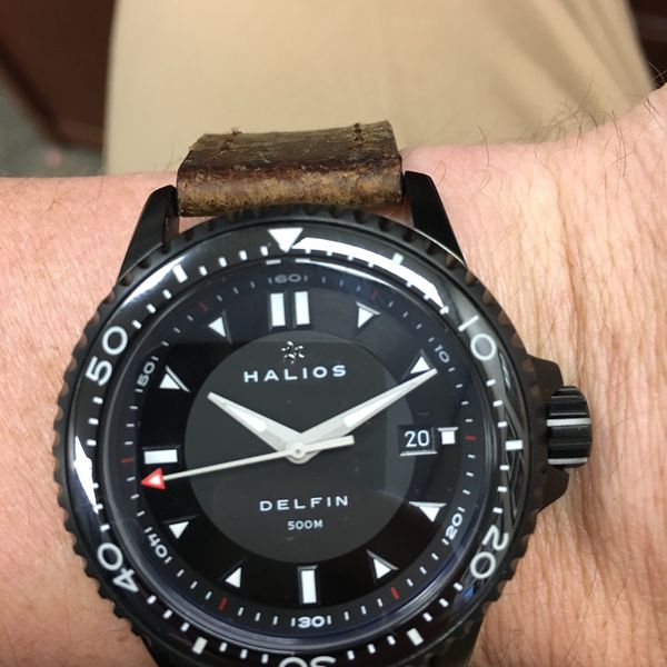 FS: LNIB Halios Delfin PVD 2016 Mint | WatchCharts Marketplace