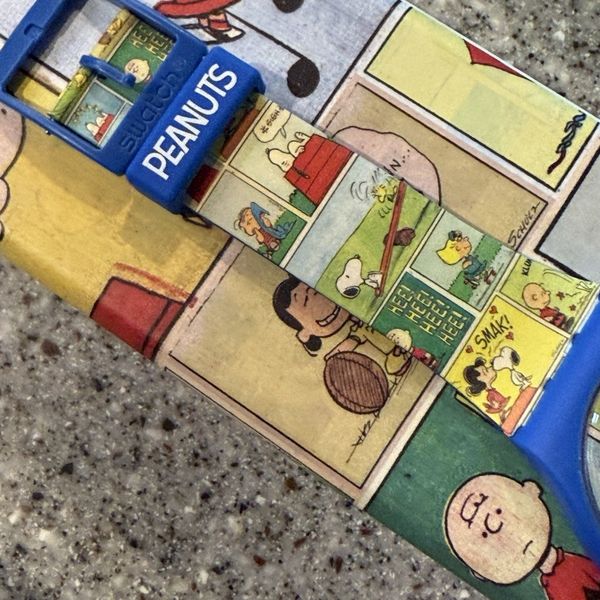 NIB Swatch x Peanuts SMAK! Comic Strip SO29Z108 Watch | WatchCharts ...