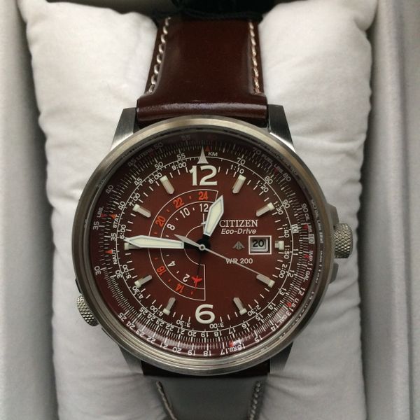 FS: Citizen Promaster Nighthawk Havana | WatchCharts Marketplace