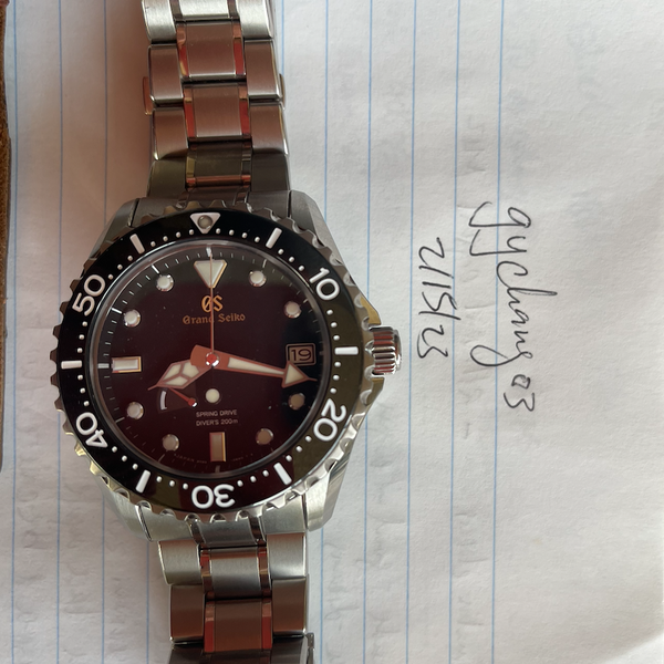 [WTS][WTT] Grand Seiko Titanium Spring Drive: SBGA231 | WatchCharts ...
