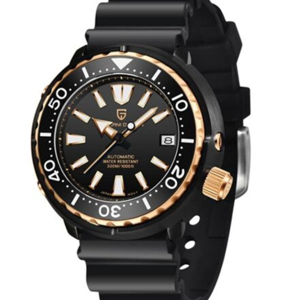 PAGANI DESIGN PD-1695 Men's Automatic Mechanical Watch Divers Watch ...