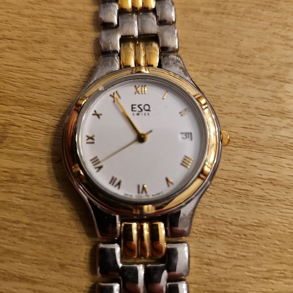 ESQ by Movado 300210A Men's Stainless Steel Swiss Quartz Two-Tone ...