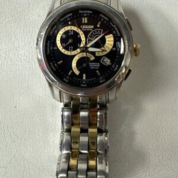 Citizen Eco-Drive Men's Calibre Perpetual Calendar Alarm Watch E870 ...
