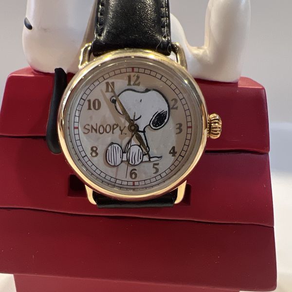 Limited Edition Snoopy Peanuts Fossil Watch with Dog House ...