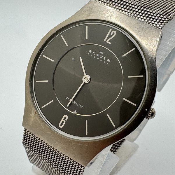 Skagen Quartz Watch 233LTTM Men Titanium Ultra Thin Mesh Band Analog ...