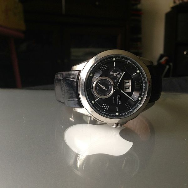 Citizen Caliber 3100, Perpetual Calendar Twin Date - Hardly Worn, now ...
