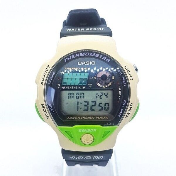 Rare Vintage (1990) Casio TS-200 Thermometer Watch | WatchCharts
