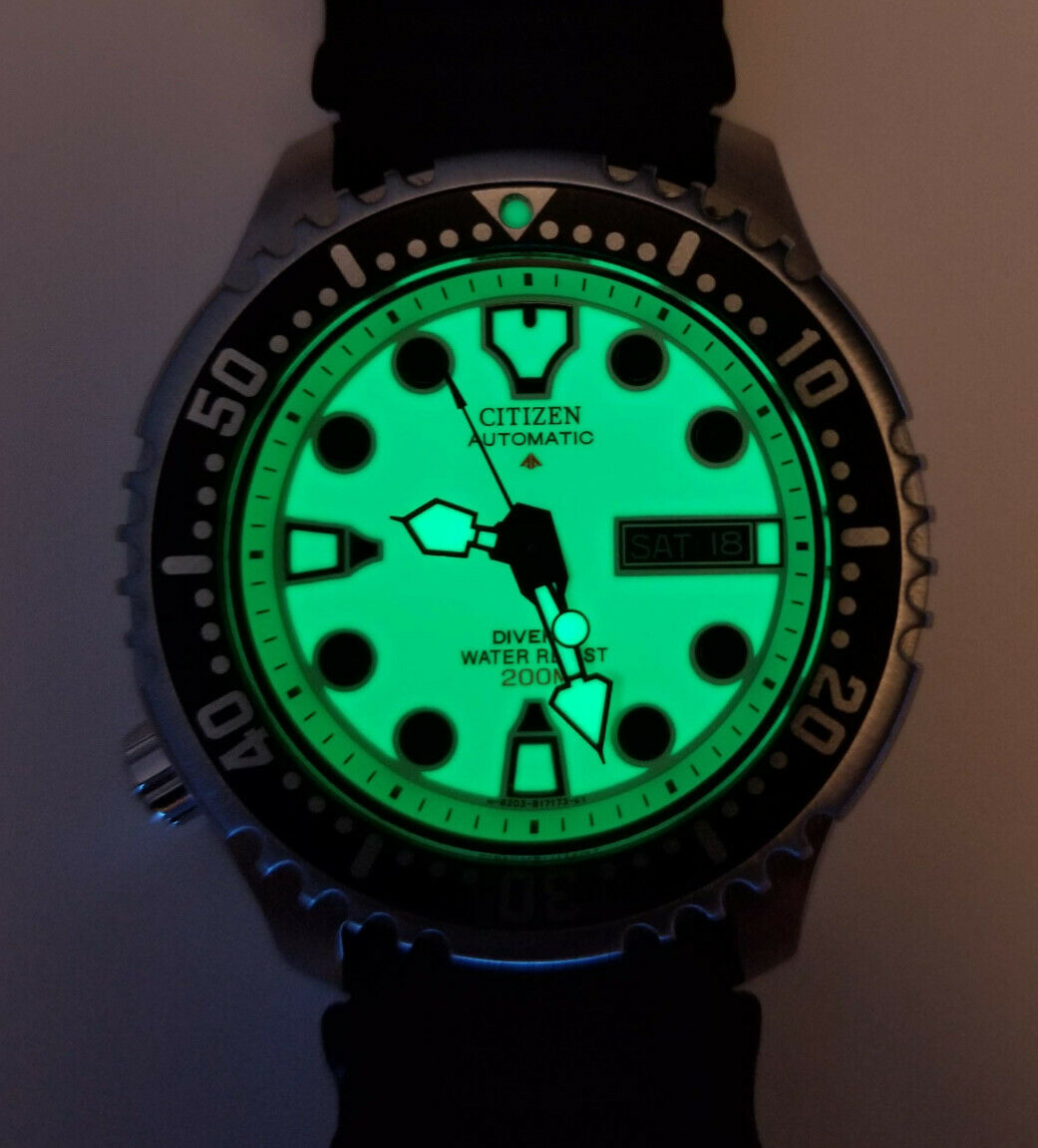 Citizen Promaster NY0040-09W Full Lume Men's Automatic 200m Dive Watch ...