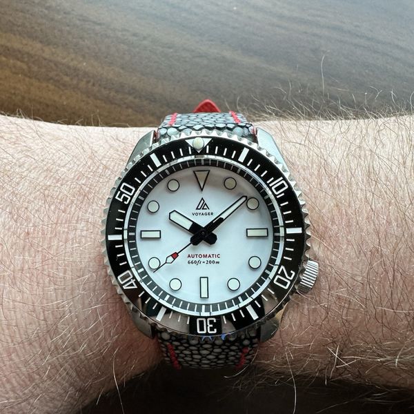 Custom Seiko Alpine White Mod On Expensive Stingray Strap | WatchCharts ...