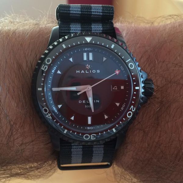 SOLD FS: Halios Delfin PVD (EU seller) SOLD | WatchCharts Marketplace