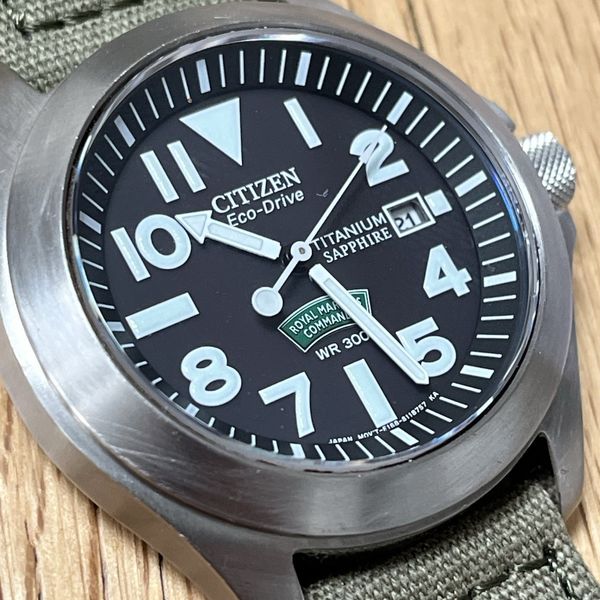 Citizen Promaster Royal Marines Titanium Watch | WatchCharts Marketplace