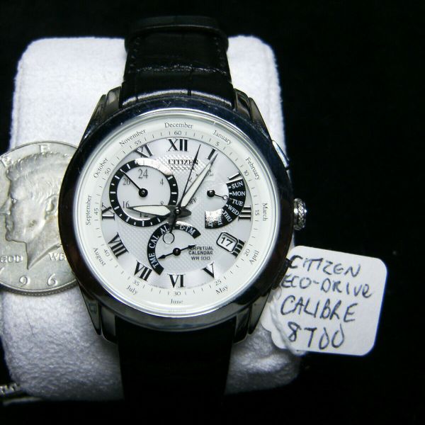 Citizen E870-S015324 HST Eco-Drive Calibre 8700 Men's Watch ...