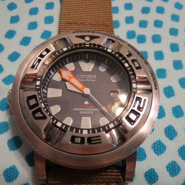 FS: Citizen Ecozilla Eco-Drive Promaster 300M Dive watch w/ Suppa ...