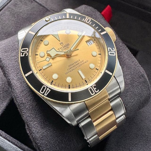 2021 Tudor 79733N Two Tone Black Bay S&G 79733 - Box and Papers ...
