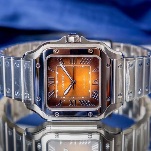 [WTS] NEW 2024 Cartier Santos Tiger Eye Brown Medium – Complete Set ...