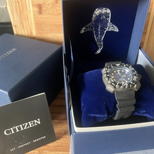 Citizen "Limited Edition" Promaster Men's Dive Titanium Sports Watch ...