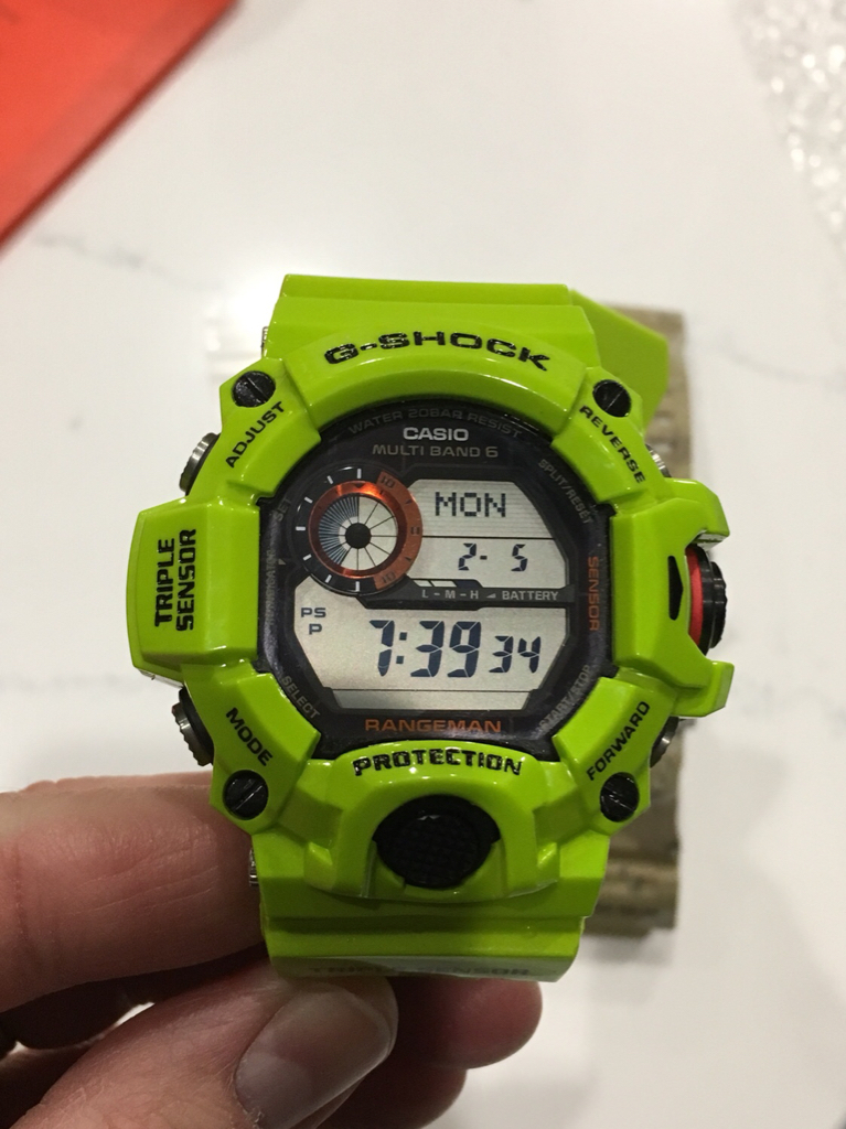 SOLD Custom Kermit Green Casio G-Shock Rangeman GW-9400DCJ | WatchCharts