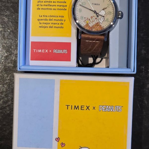 RARE! Timex Standard x Peanuts Featuring Snoopy Autumn 40 mm ...