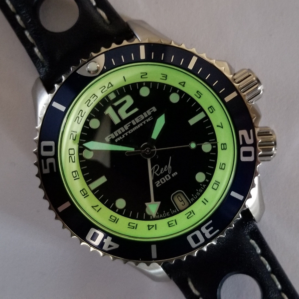 Automatic watch. Vostok AMFIBIA. REEF. 080480. 24H. 20 ATM. New ...