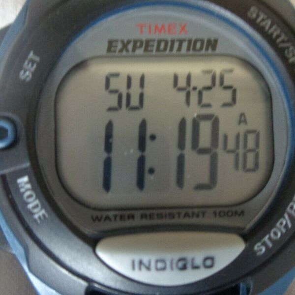 Timex Expedition Indiglo Watch | WatchCharts