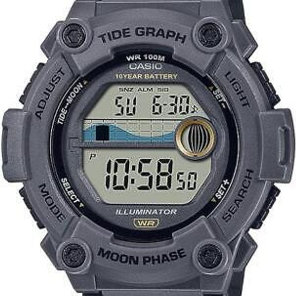 Casio Collection WS-1300H-8AVEF Tide Graph Moon Phase 100m WR 2 Year ...
