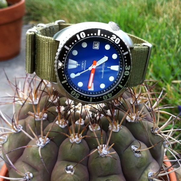 FS: Dagaz XW Tsunami Caribbean Classic triple grip bezel | WatchCharts ...