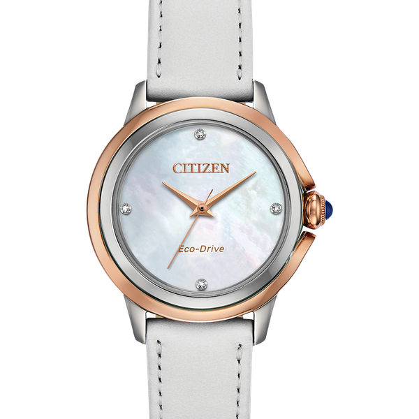 Citizen Eco-Drive (EM0796-08Y) Market Price | WatchCharts