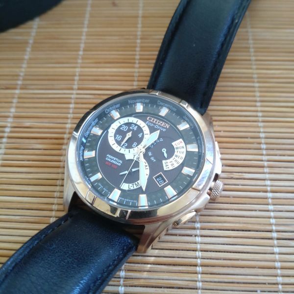 Citizen Calibre 8700 Eco-Drive Chronograph Perpetual Triple Calendar ...