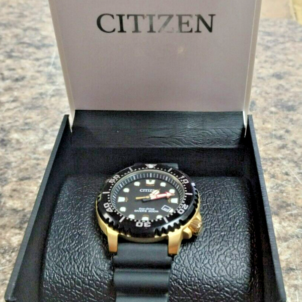 Citizen Promaster Dive Gold-Tone Watch Model: E168-S126703 (CMP088409 ...