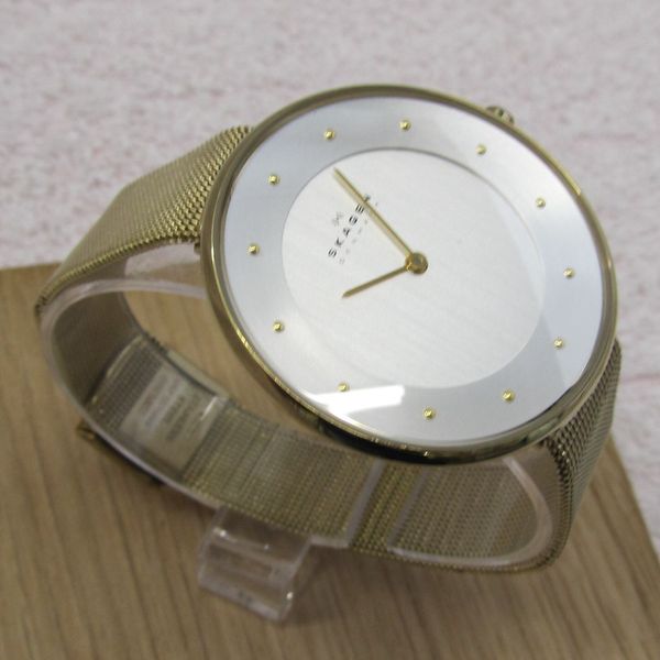 Classic Skagen Quartz Watch in Gold with Gold Mesh Bracelet ...