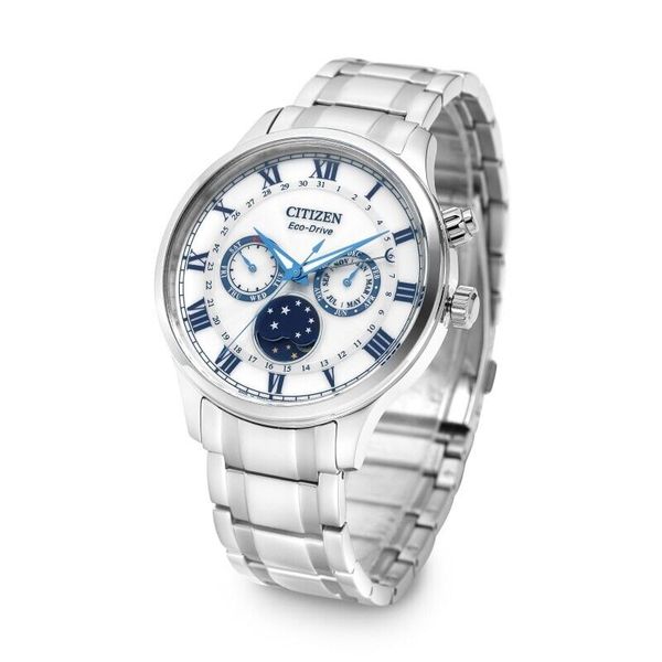 Citizen Eco Drive Moon Phase Stainless Steel Watch 42mm 5ATM for Men ...