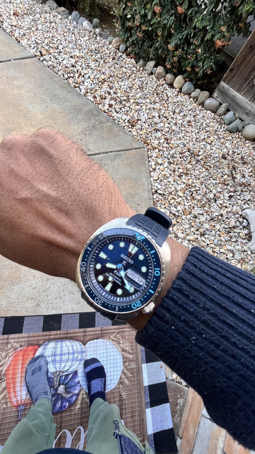 [FS] Seiko PADI King Turtle SBDY125 (JPN model) | WatchCharts Marketplace