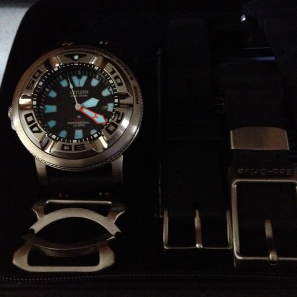 FS=> Stainless Citizen Eco Zilla | WatchCharts