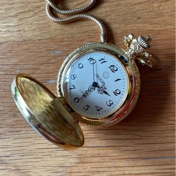 17 jewels Gold Coin pocket watch | WatchCharts Marketplace