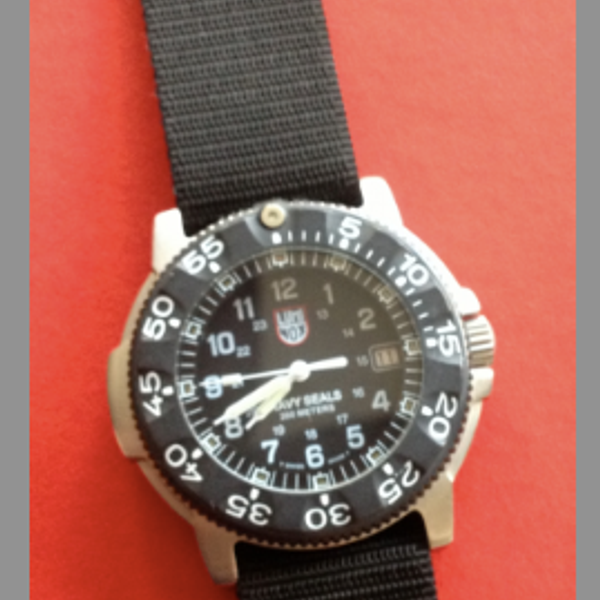 FS: Luminox 3100 Navy Seal SOLD | WatchCharts