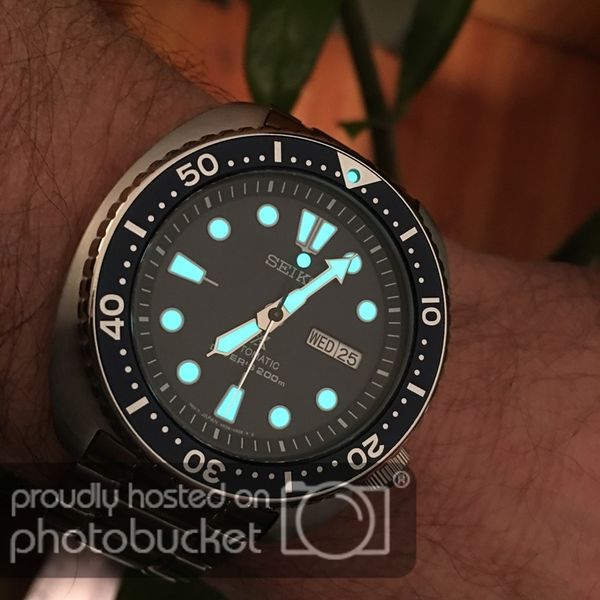 SOLD: Seiko SRP773, blue Turtle | WatchCharts Marketplace