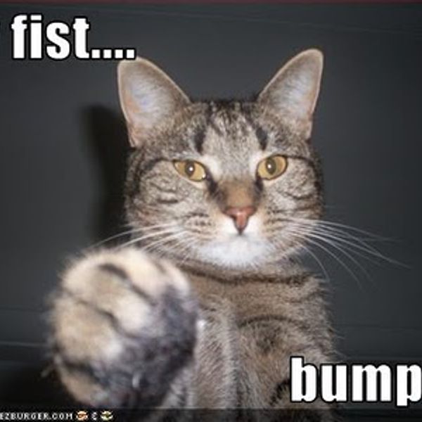 FSOT Deep Blue GMT Chronograph (Valjoux ETA 7754) | WatchCharts