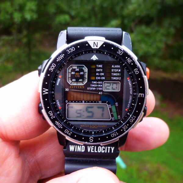SOLD! Citizen Windsurfer | WatchCharts