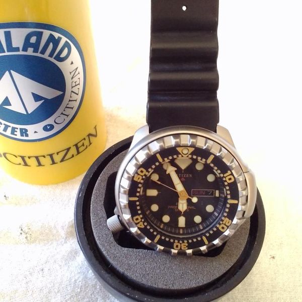 Citizen 800M Titanium Profesional Diver- AJ0080-08E | WatchCharts