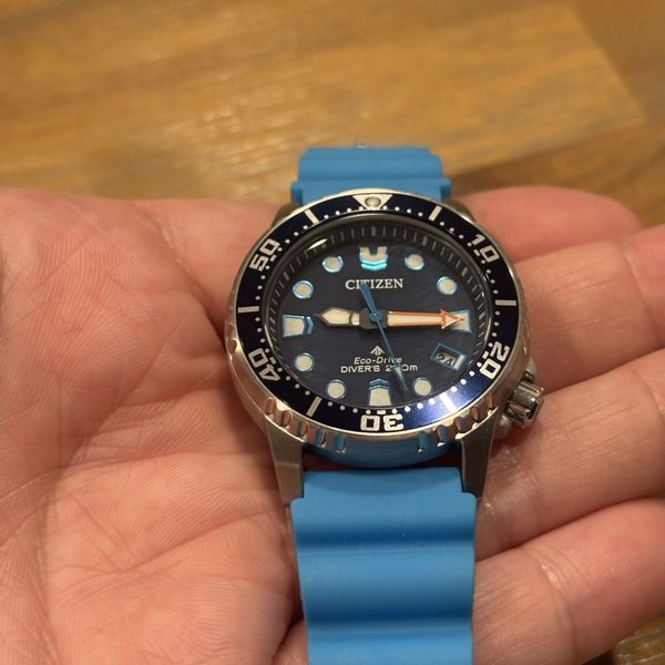 Citizen Promaster Dive 37mm Eco Drive Watch | WatchCharts Marketplace