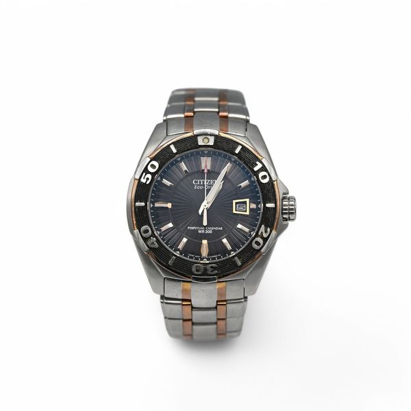 CITIZEN ECO DRIVE PERPETUAL CALENDAR WR 300 QUARTZ WRISTWATCH STAINLESS ...