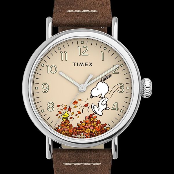 Timex Standard x Peanuts Featuring Snoopy Autumn - TW2U86200 ...