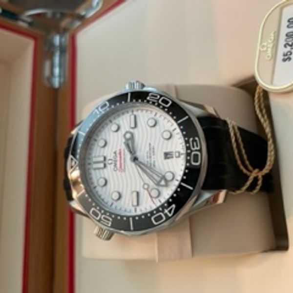 Omega 300M Seamaster Polar White 2021 | WatchCharts