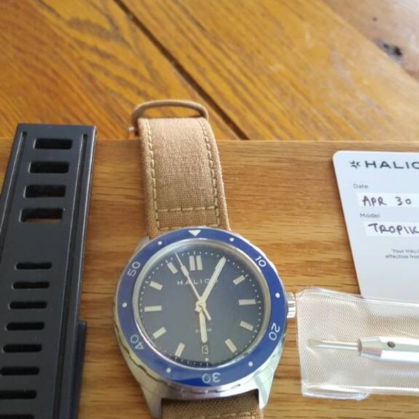 FS: Halios Tropik Blue Dial | WatchCharts Marketplace