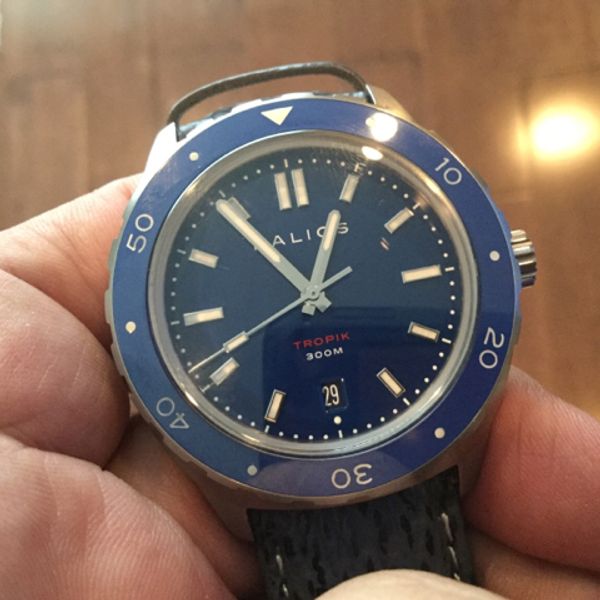 Halios Troplx Blue Dial | WatchCharts Marketplace