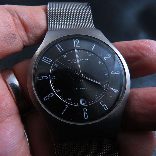 All Titanium Skagen Denmark Special Day Quartz Men Watch | WatchCharts ...